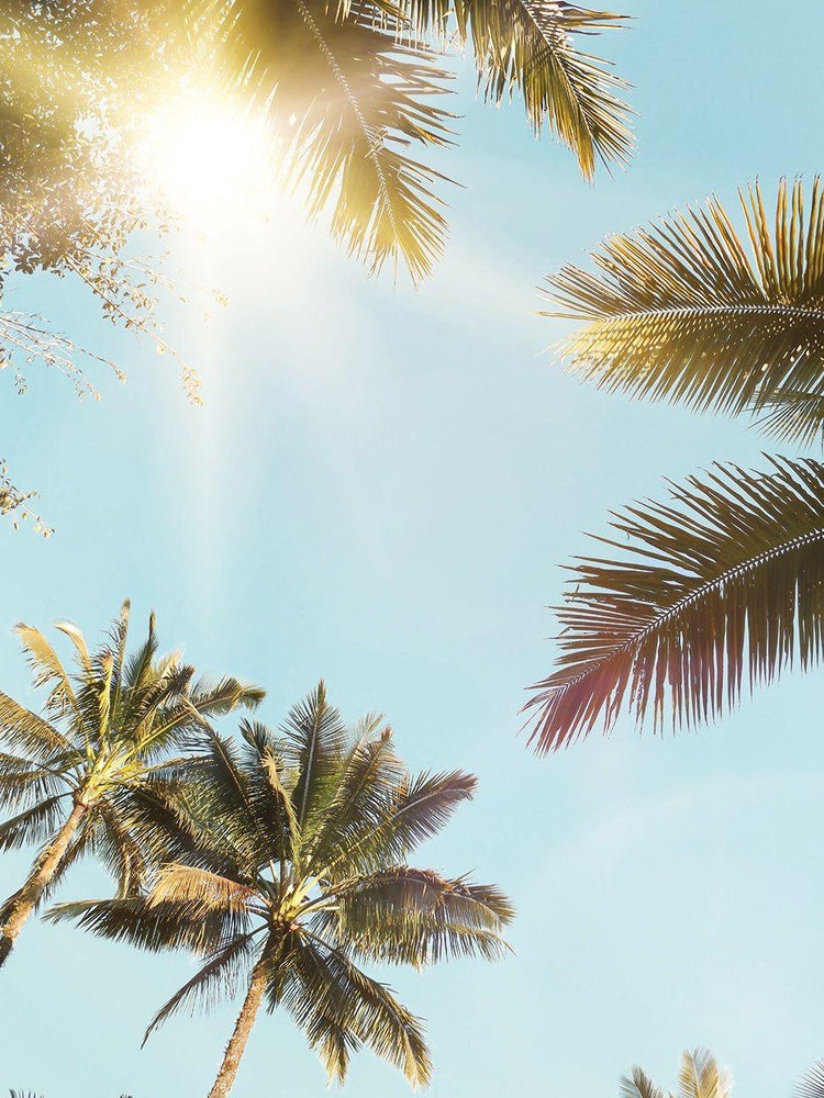 Malocca – Malocca artesana